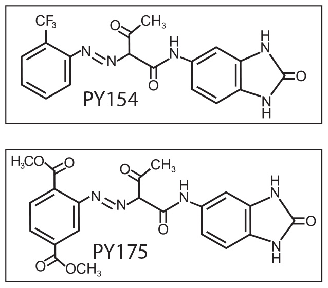Always Striving for the Best: The Introduction of Benzimidazolone ...